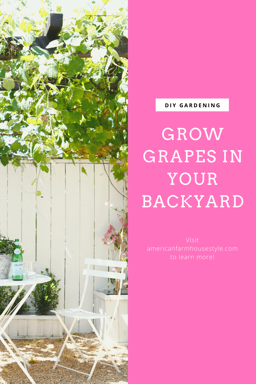 How To Grow Grapes in Your Backyard - American Farmhouse Style