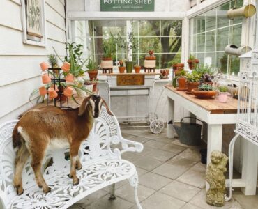 Piper Classics Farmhouse Décor: Cozy in the Details - American ...